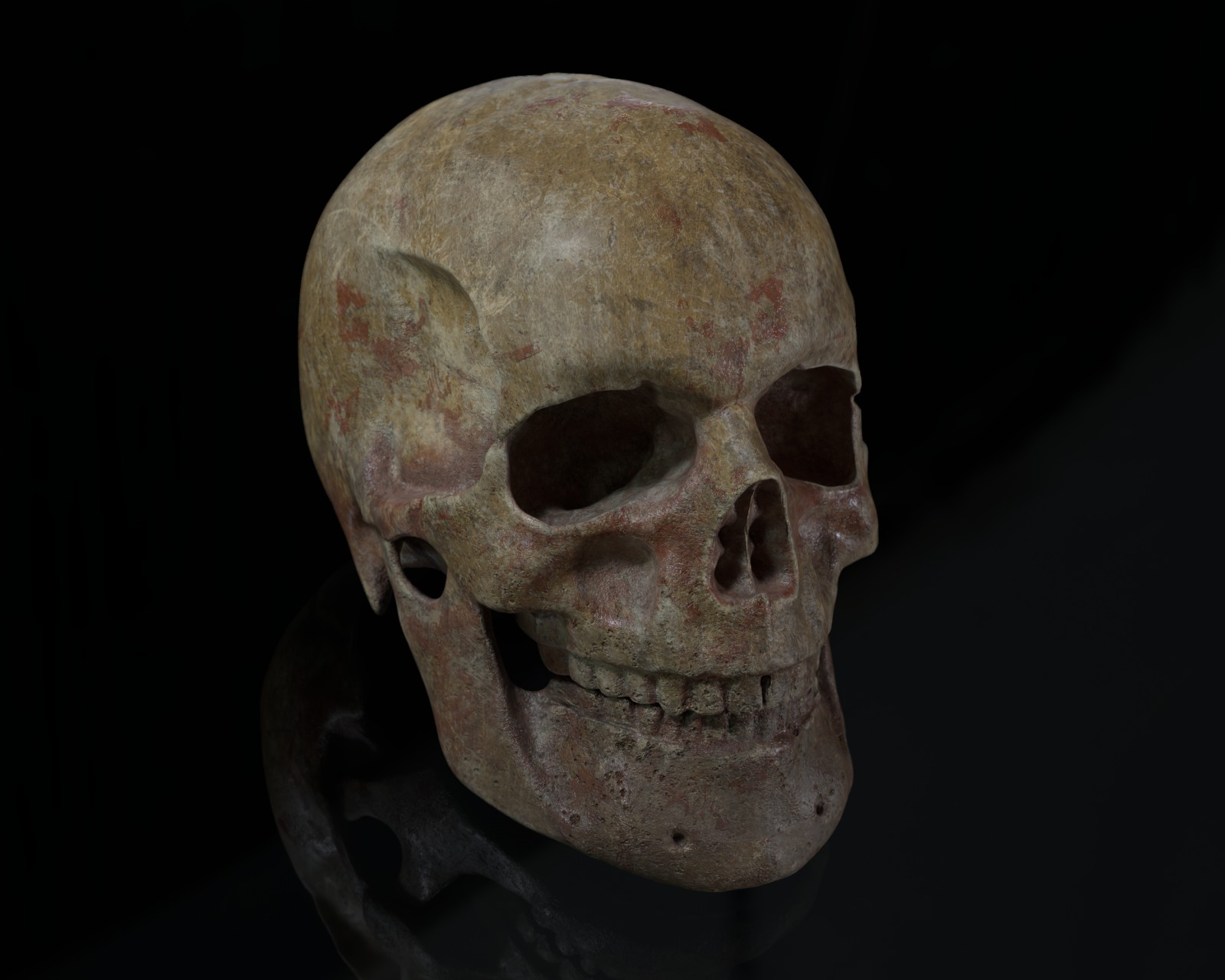 An ancient human skull