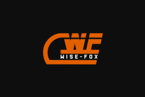 Разработка логотипа - Wise Fox