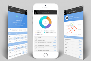 Интерфейс мобильного приложения